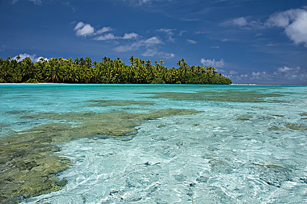 Plant ecology, and diversity and conservation in the Cook Islands - iNEWS