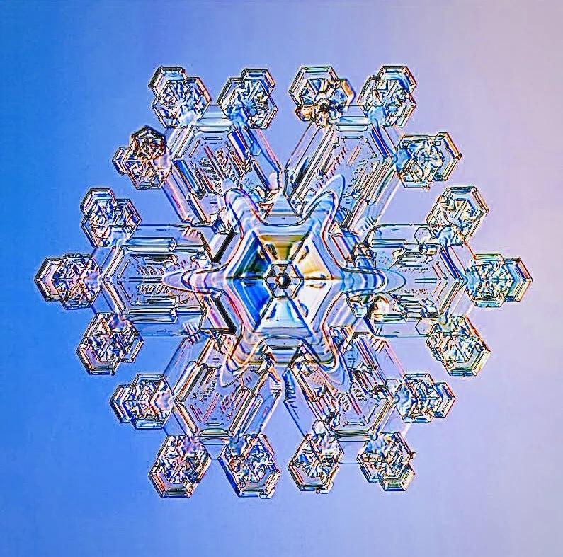 Tsk amazing!Snowflakes under the microscope - iNEWS