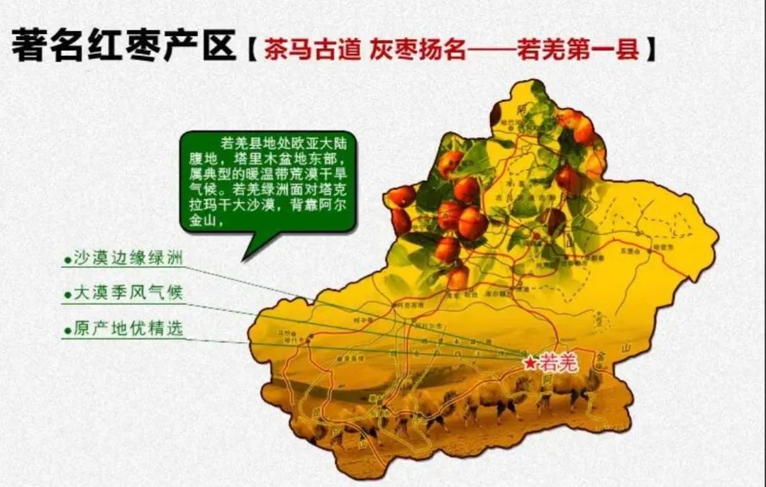 Xinjiang · Ruoqiang gray jujube - iNEWS