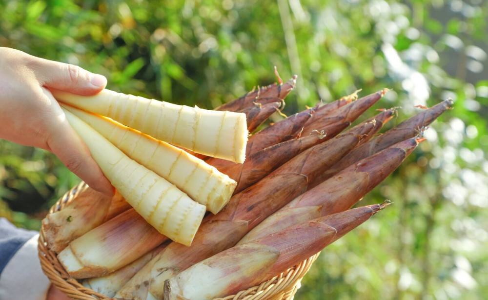 Describe the nine fresh foods in spring (1) - three fresh foods - iNEWS