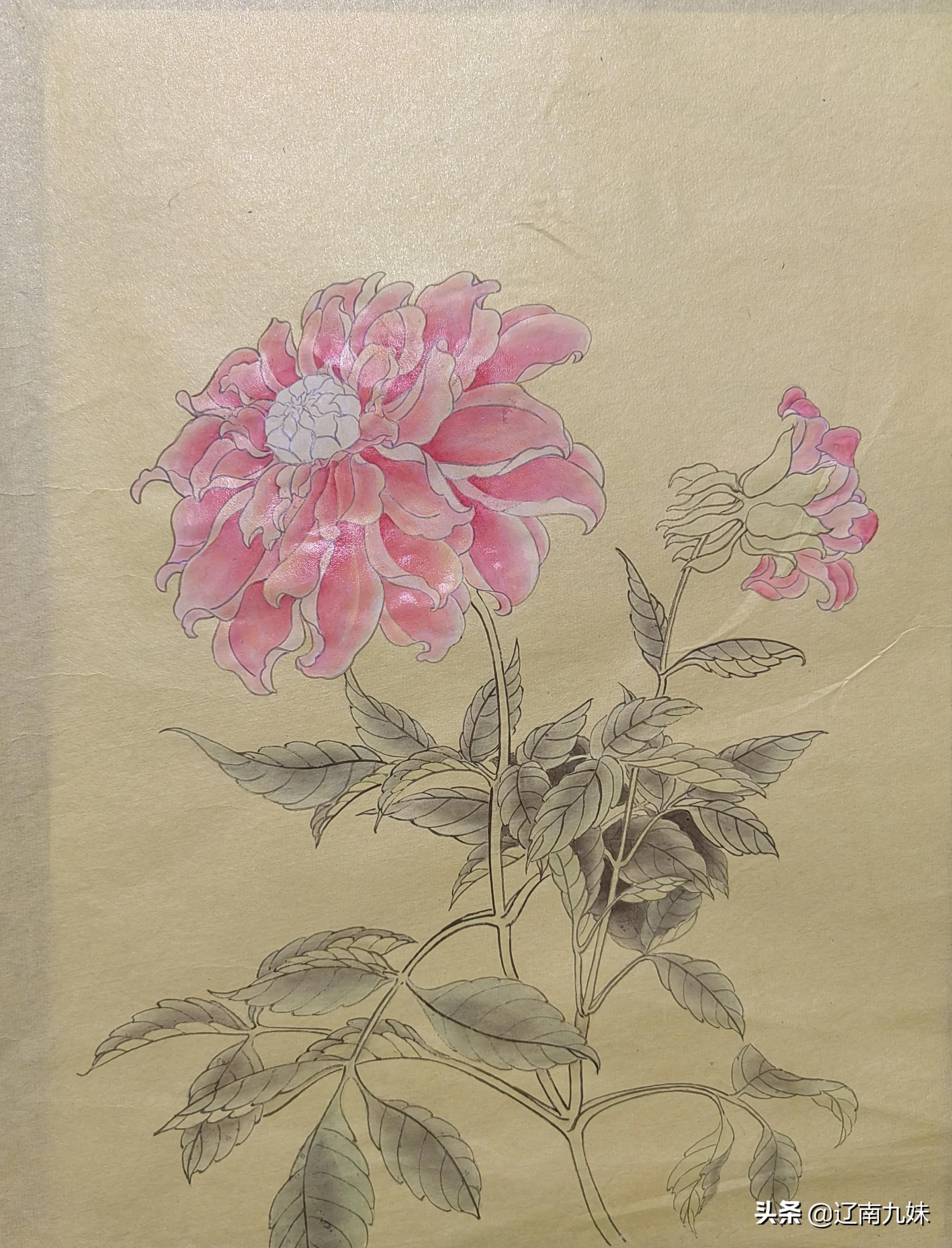 Drawing process of fine brushwork flowers - iNEWS