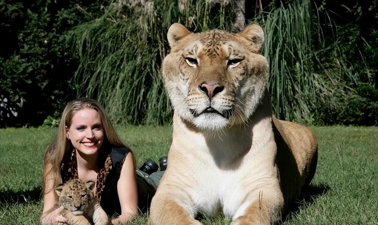 5 Amazing Animal Hybrids You Probably Won't Believe They Exist - iNEWS