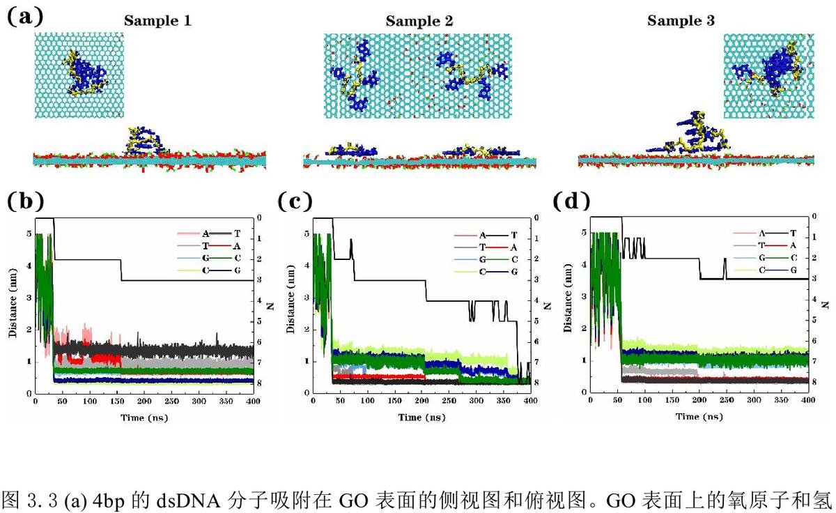 Adsorption kinetics of short-chain DNA molecules and long-chain DNA ...