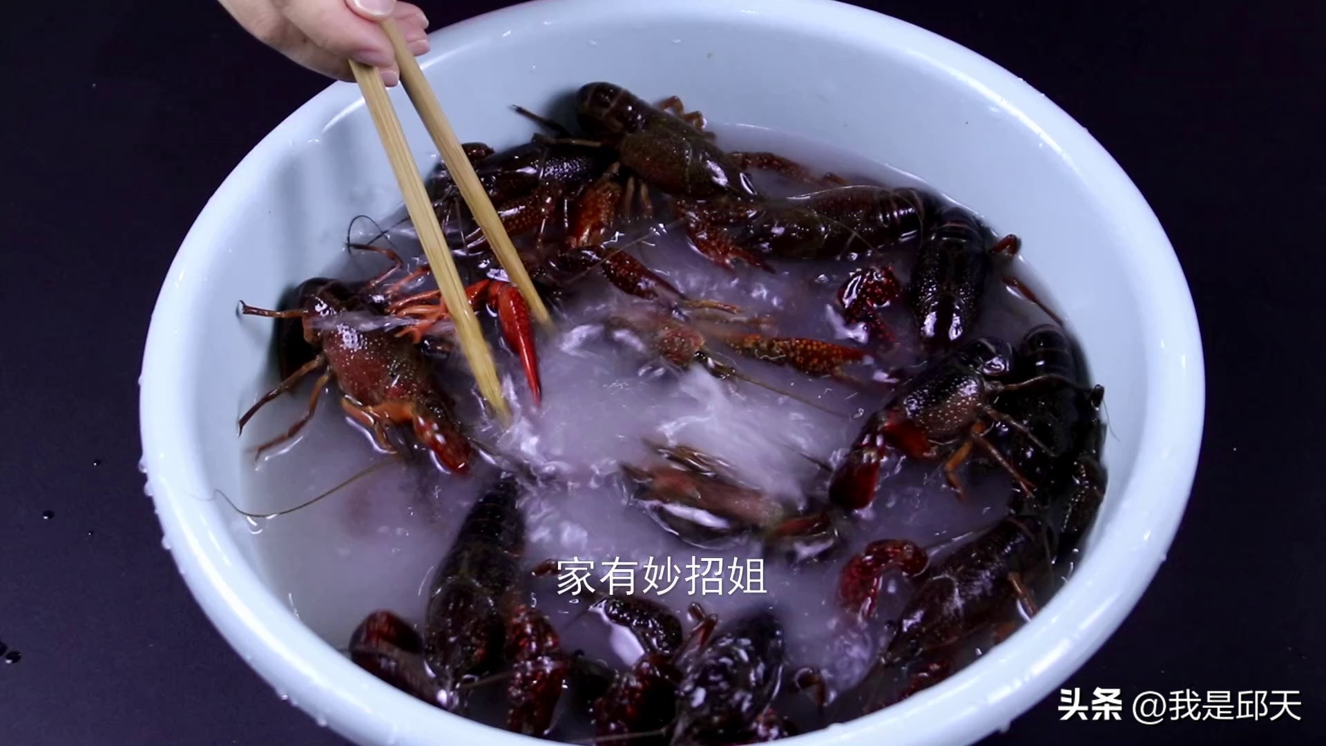 What is the difference between blue-shelled and red-shelled crayfish ...