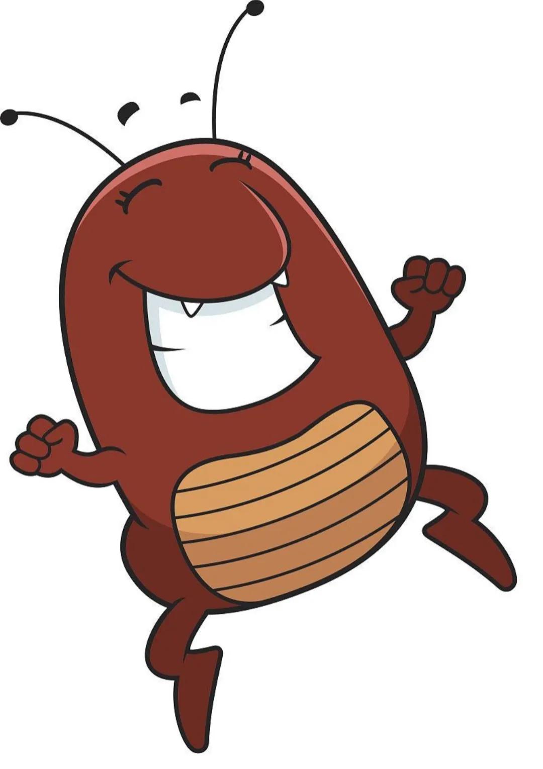 List of most hated bugs on earth - iNEWS