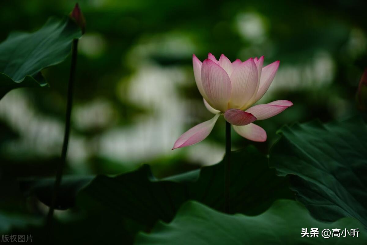 What does the old saying, "May 9 Poison Day, three things to remember ...