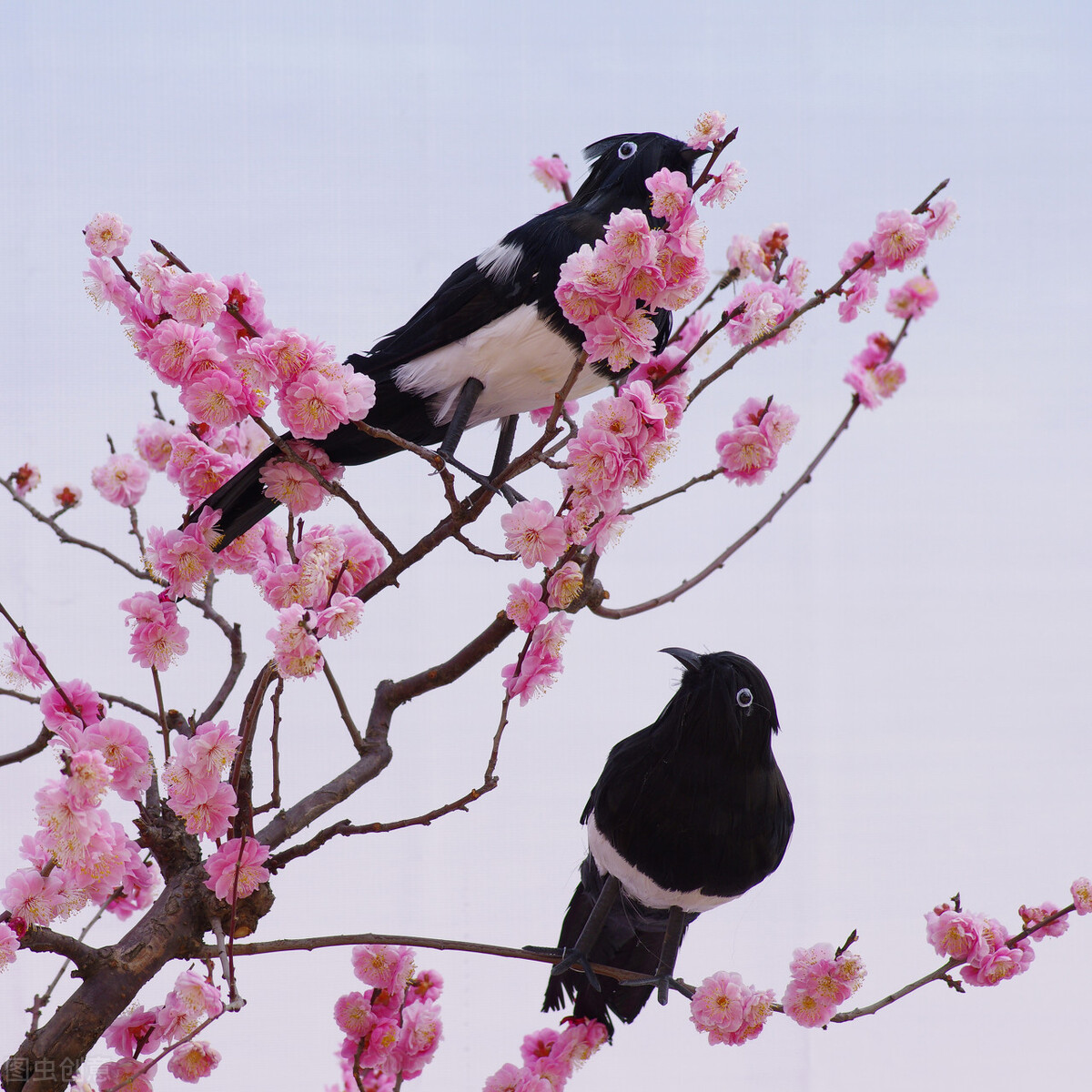 Thirteen Animal Poems by Liu Zongfu - iNEWS