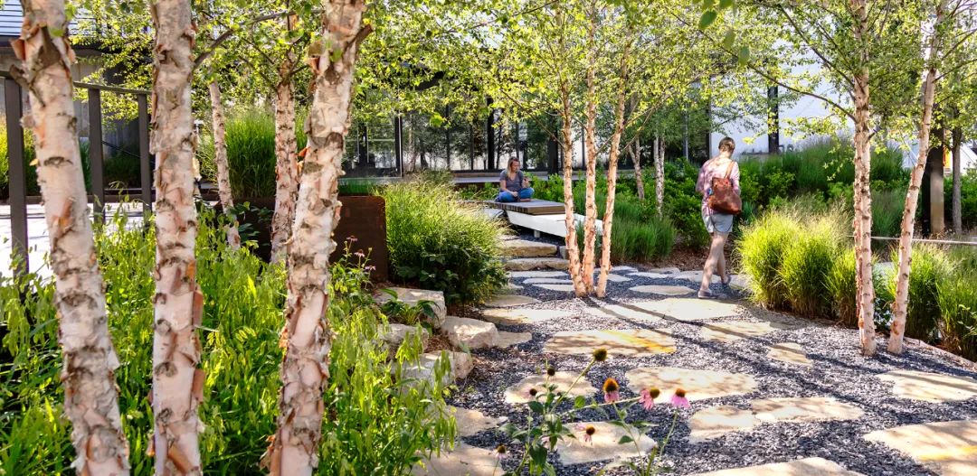 2021 ASLA Universal Design Honor Award: Industrial Brownfield Rebirth ...