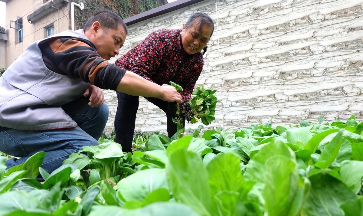 For the DINK family, if there is no one to take care of them in their ...