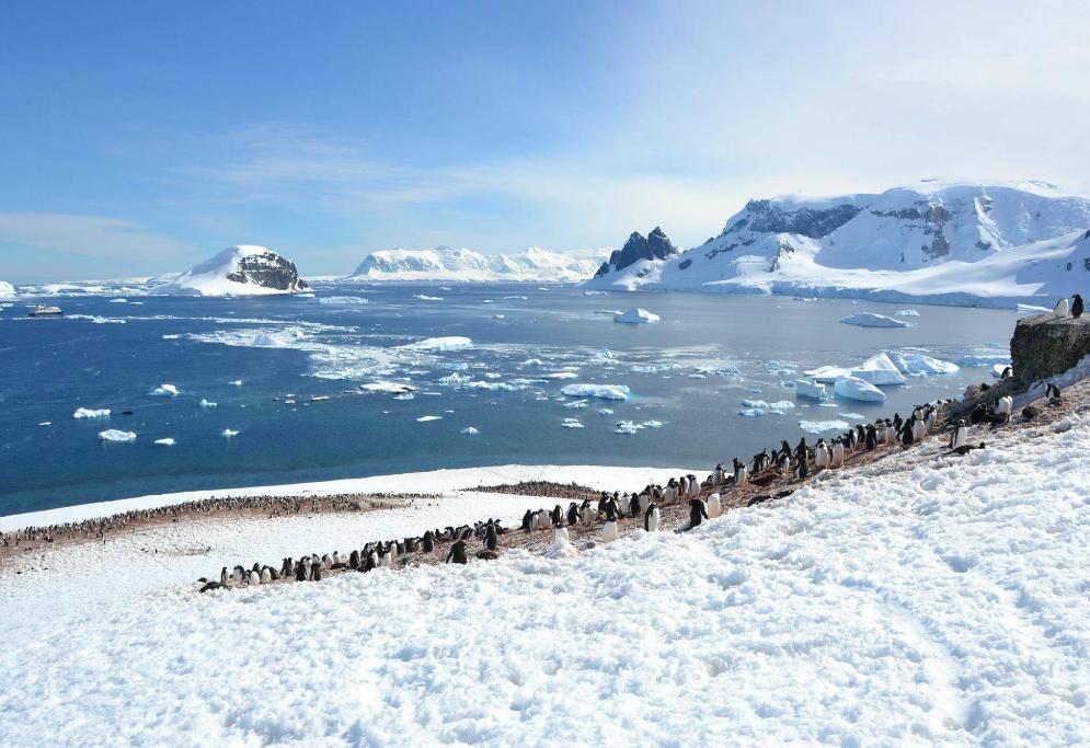 The startling changes in Antarctica: From ancient Gondwana to the 'end ...