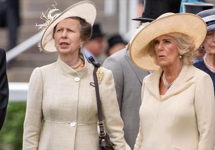 Camilla's dress steals the limelight! Inviting Tom to watch the game ...