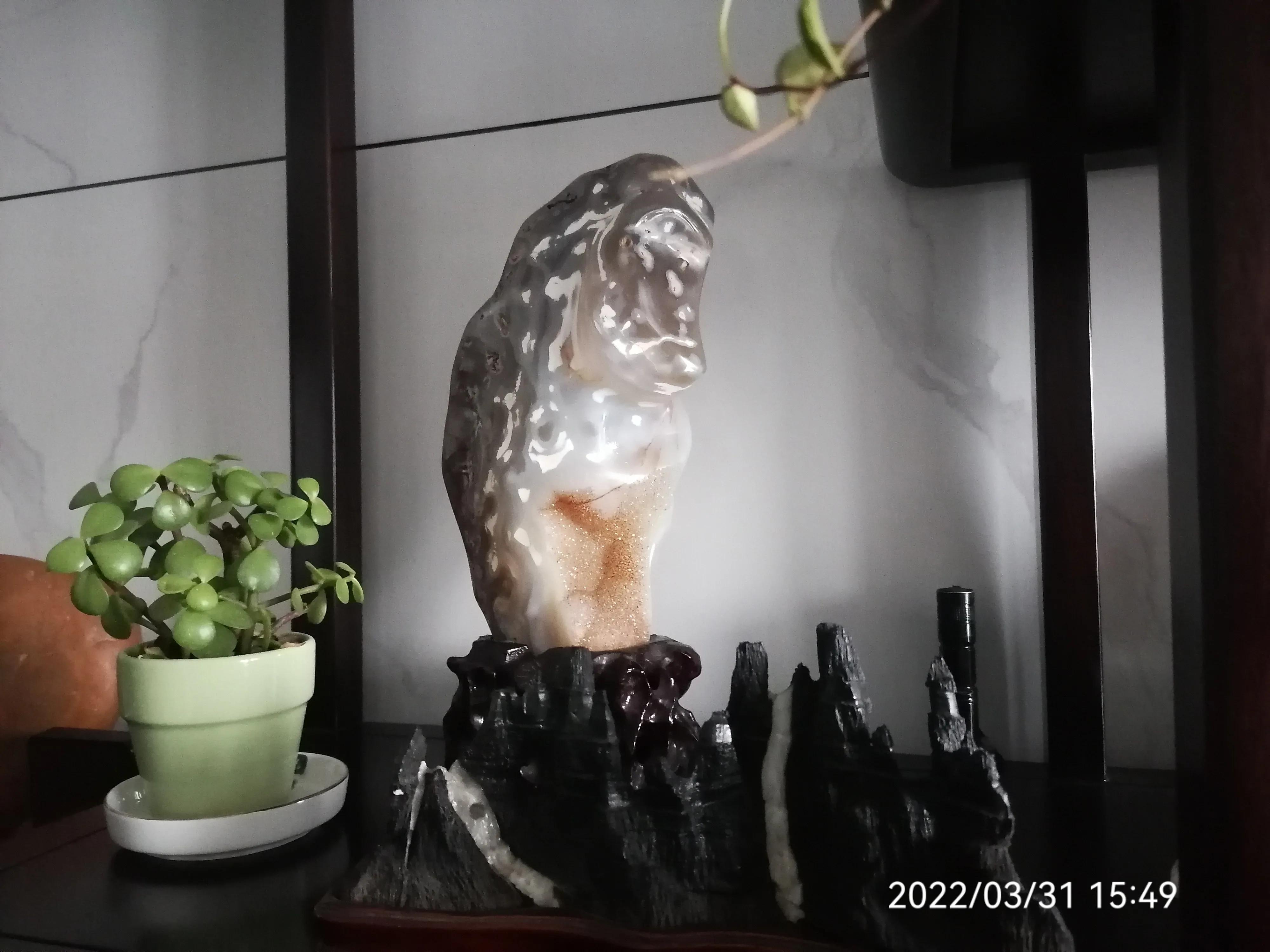 "Stone · Onyx Monkey" - iNEWS