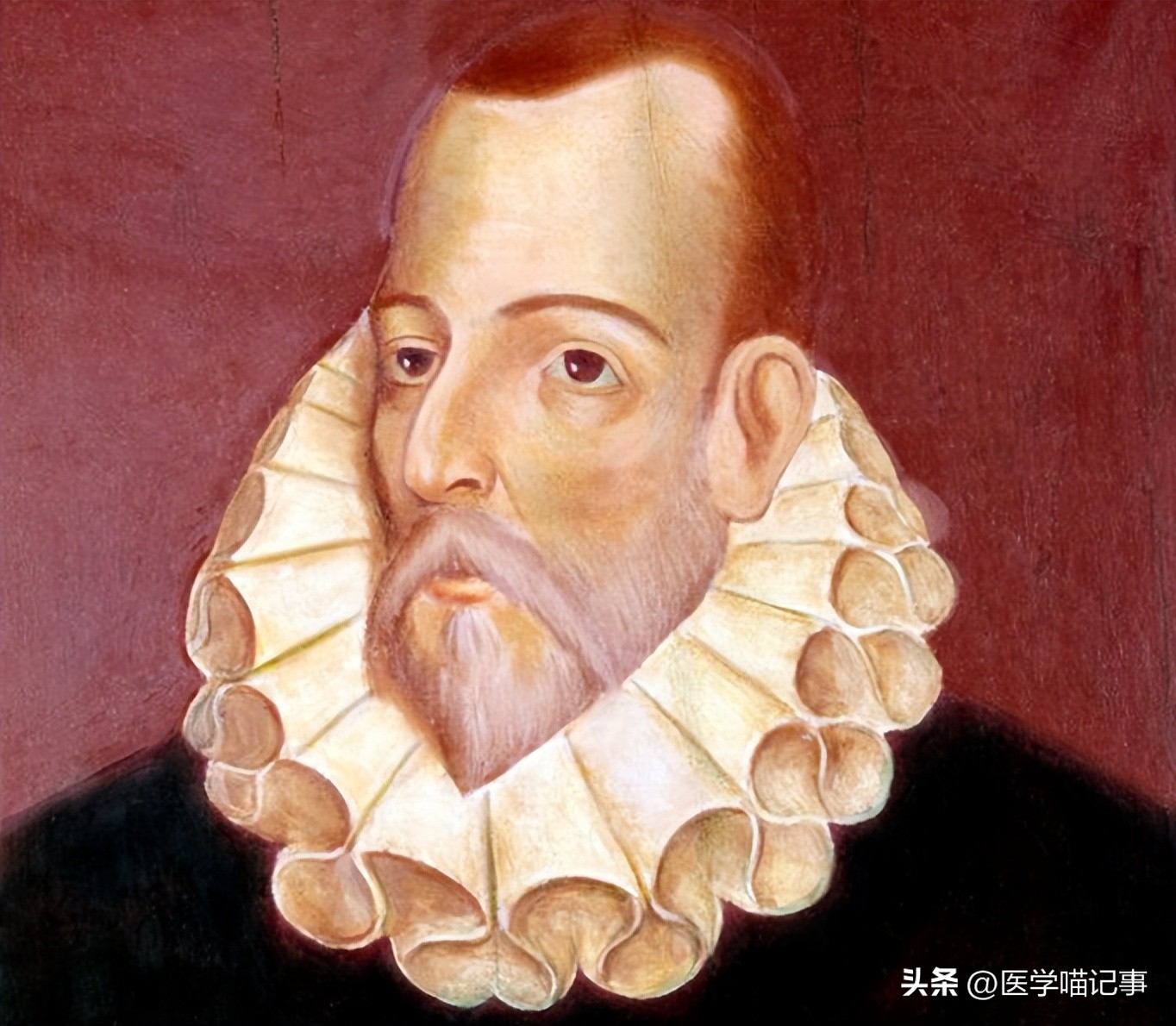 Don Quixote: Fantasy and Reality in Miguel de Cervantes Saavedra - iNEWS