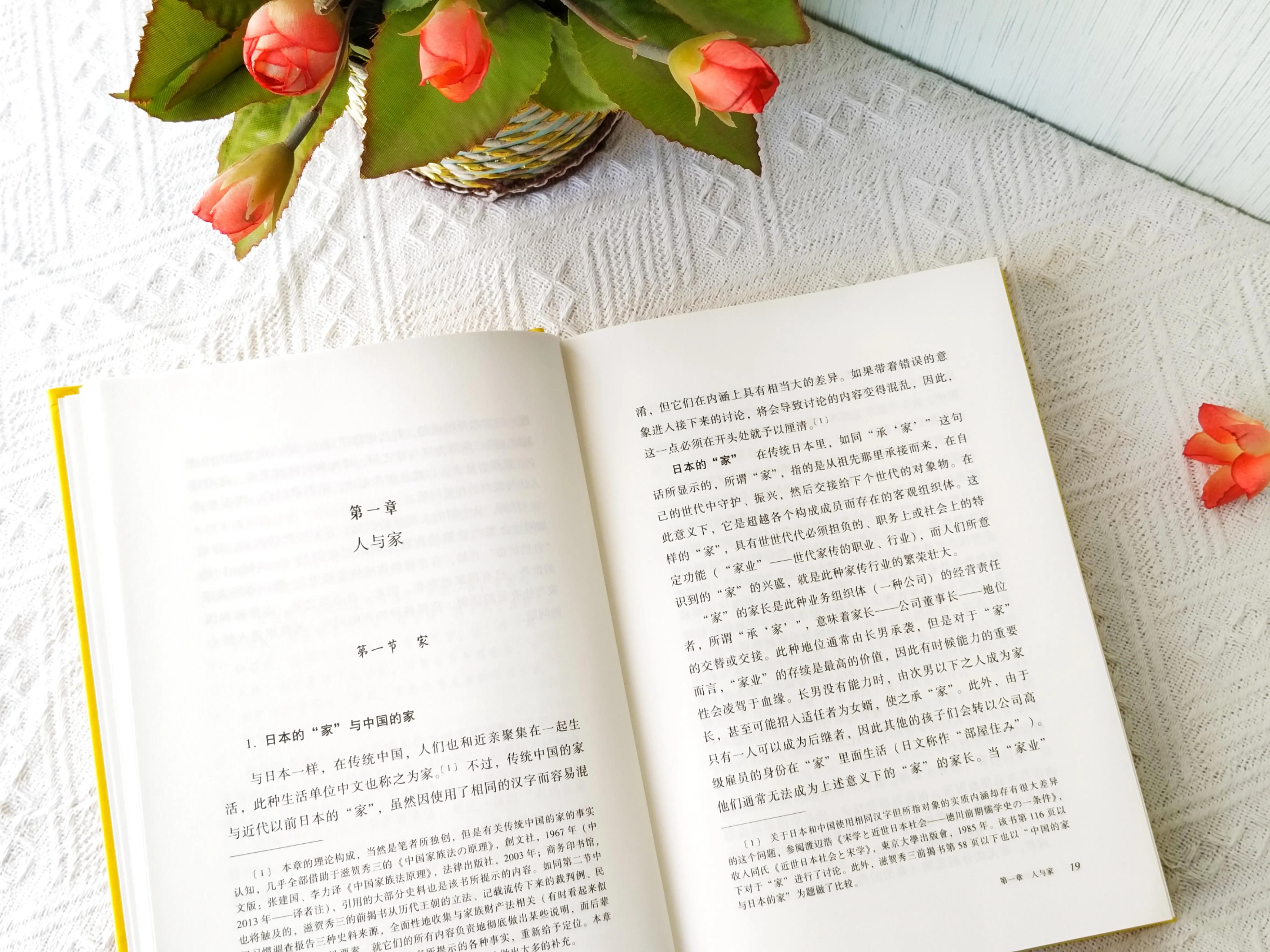 Seeing the Construction and Reshaping of Traditional Chinese Legal ...