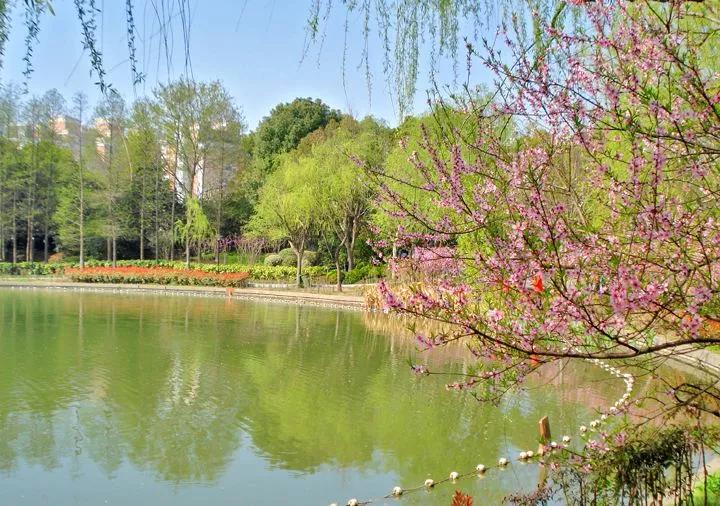 Ruan Lang Returns. Li Xia - iNEWS