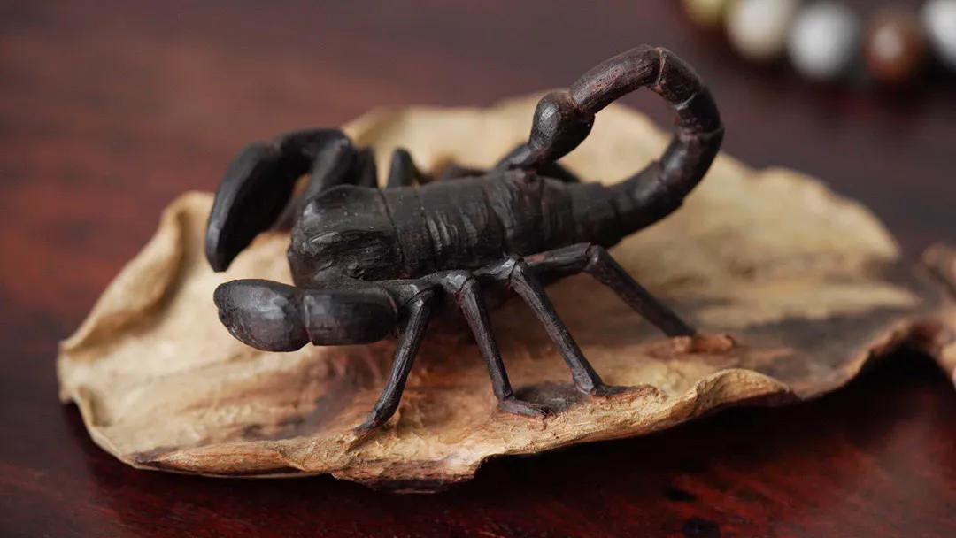 Pterocarpus lobosa - iNEWS