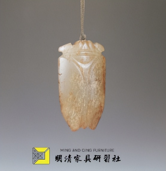 Sparse tree cicada hissing white dew cold - elaborate cicada culture ...