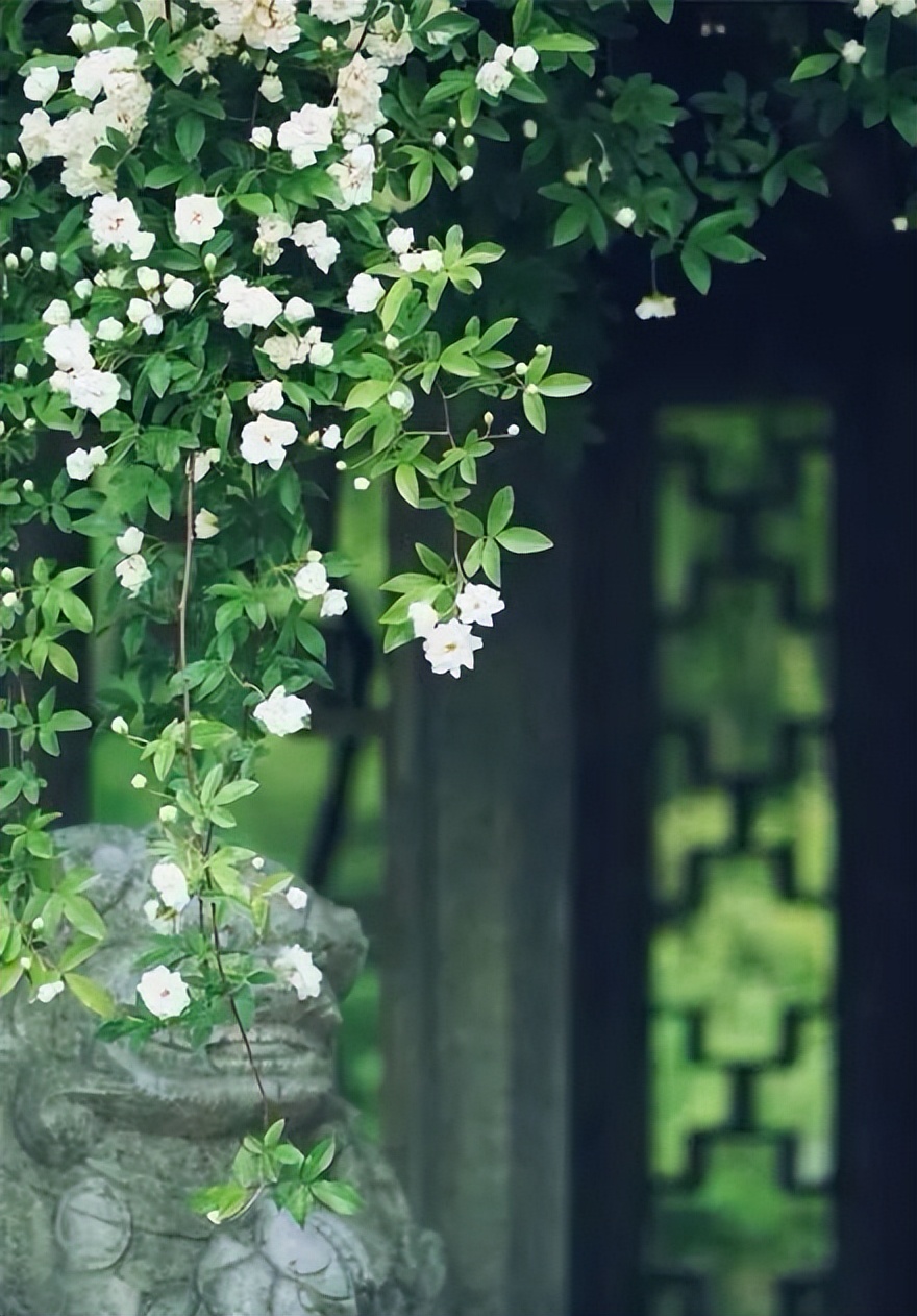 How to use ancient poetry to invite people to dinner with dignity?also show the cultural ...