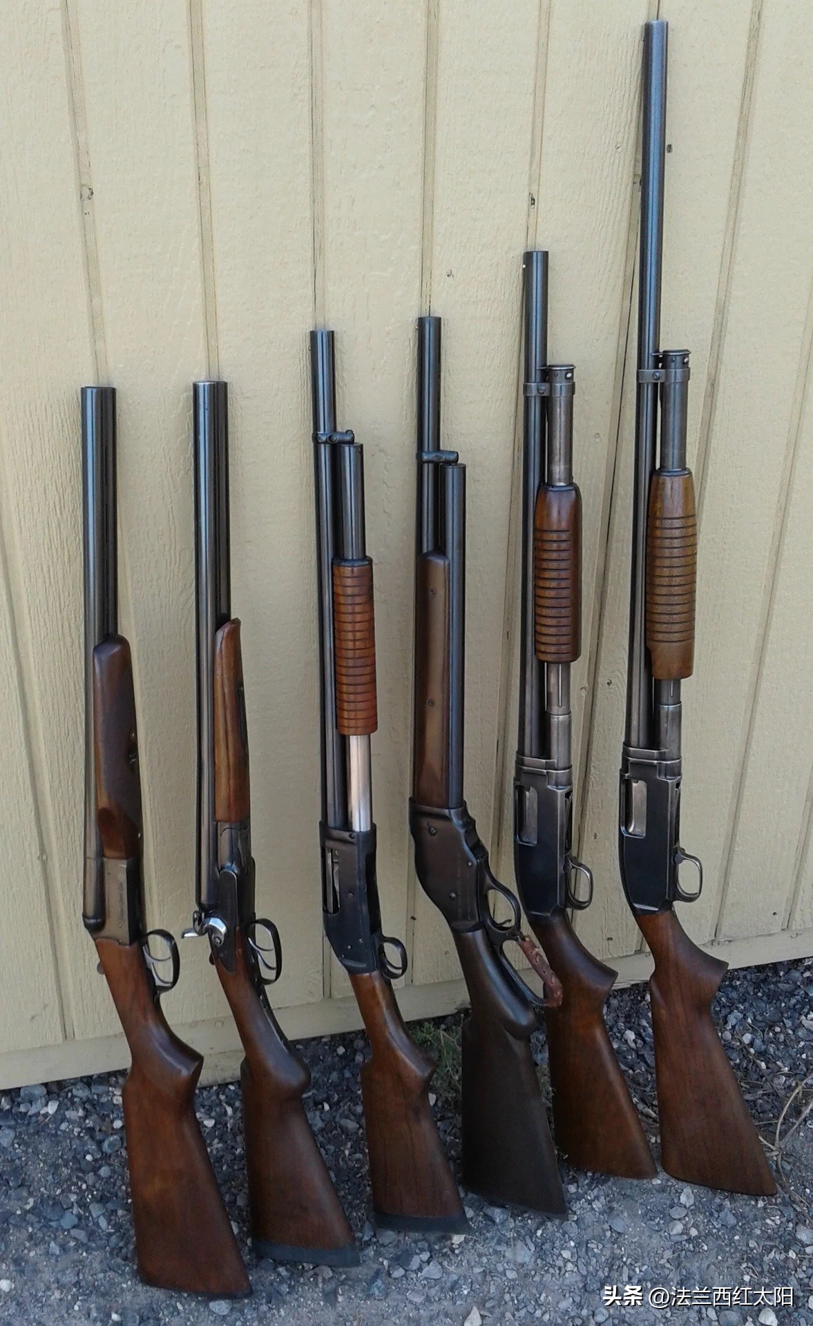 Is a shotgun the best weapon for home defense? - iNEWS