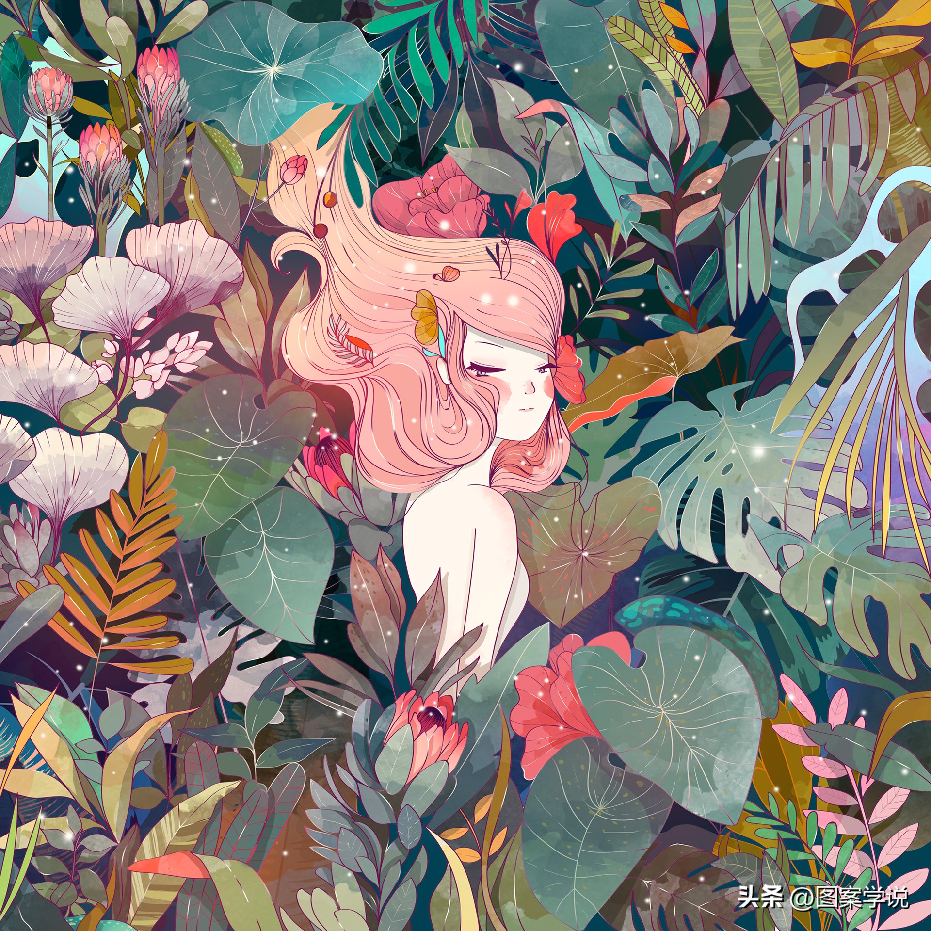 Plant girl elf series illustration design - iNEWS