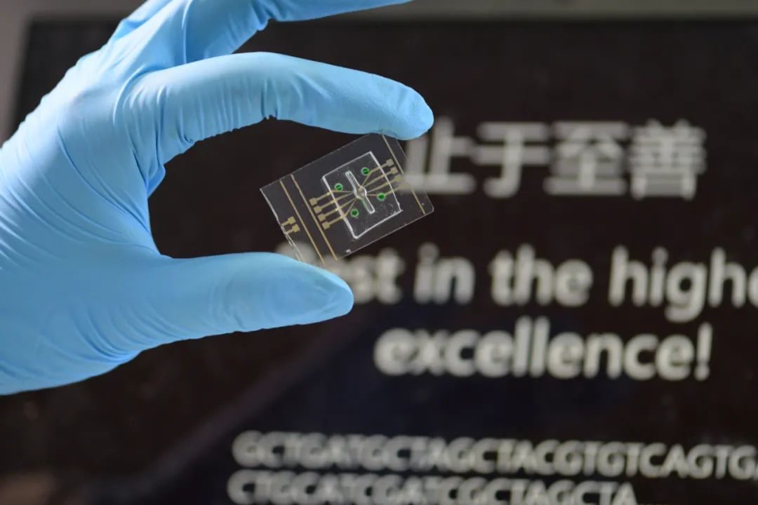 Chinese scientists store Chinese characters in DNA!How will DNA storage ...