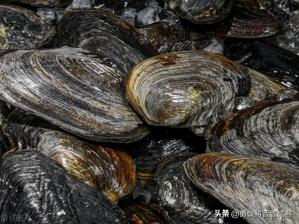 The Chinese University of Science and Technology team cracked the ...