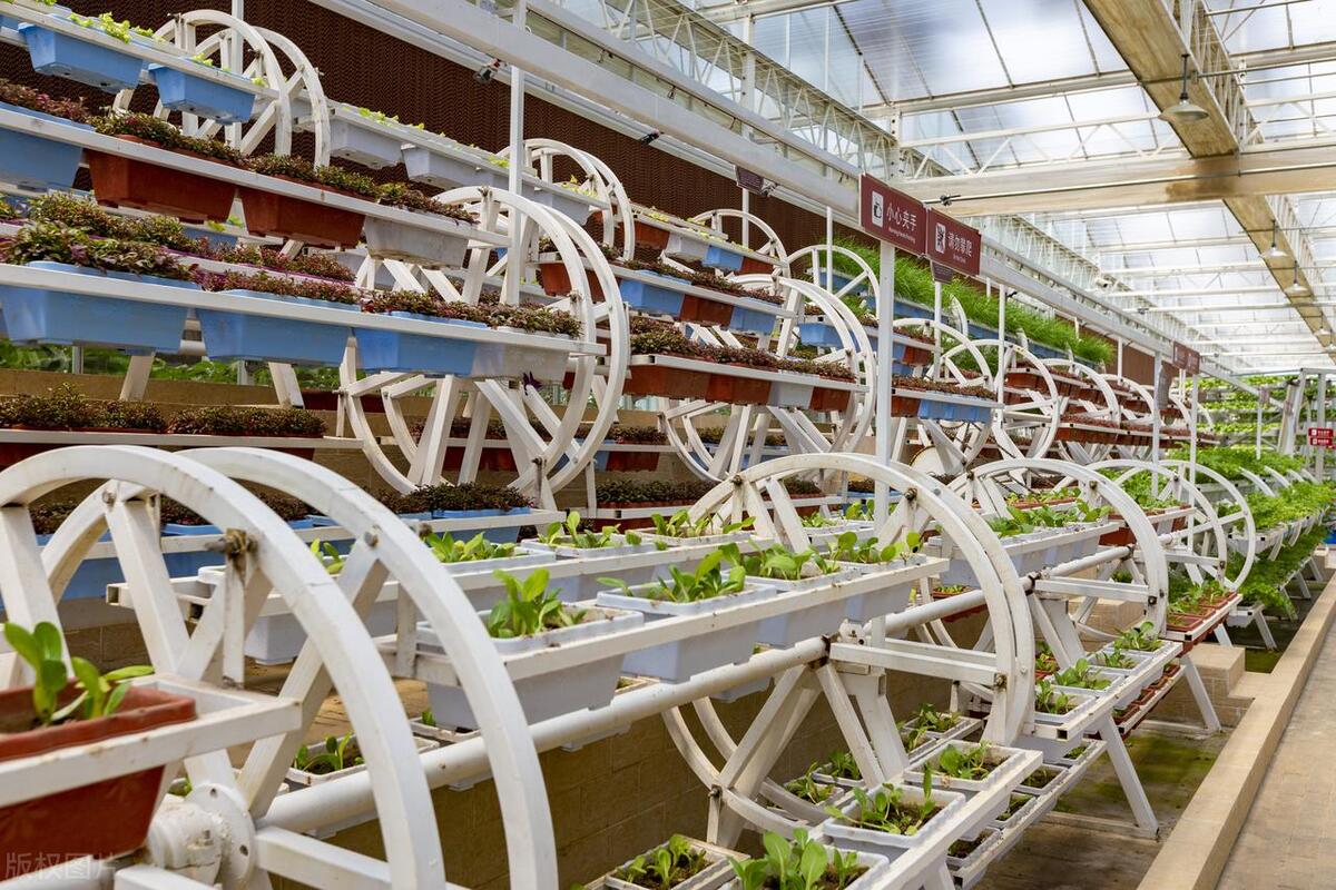 The imagination is unlimited! Exploring the future of lunar agriculture ...