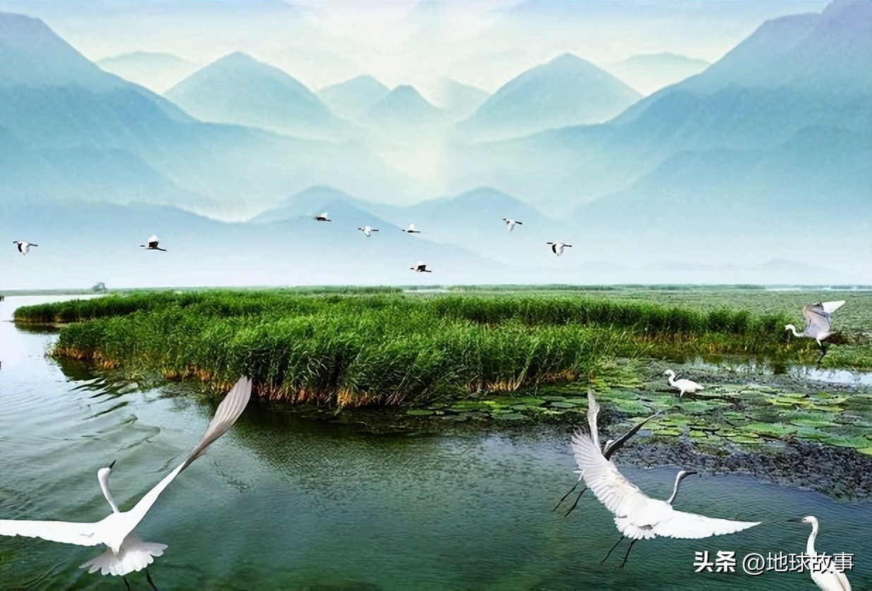 Tamna Island (Jeju Island) in the Yuan Dynasty was a small island. Why ...