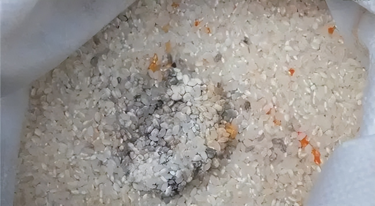 The rice you eat at home is likely to cause you to get sick - iNEWS