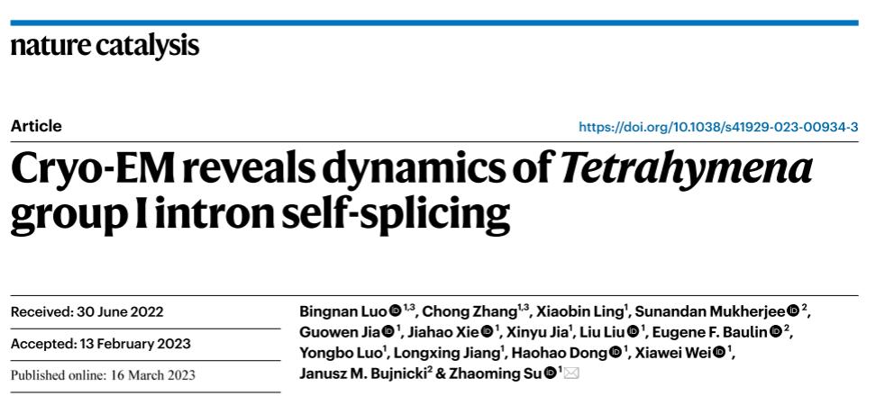 To provide a new method for studying RNA, Sichuan University reveals ...