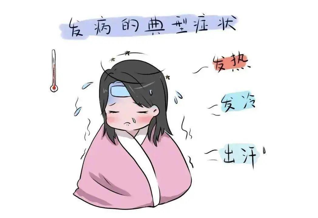 Fever, chills, sweating, you may have been bitten by a mosquito! - iNEWS