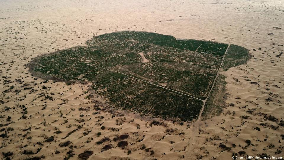How to stop deserts from swallowing life on Earth - iNEWS