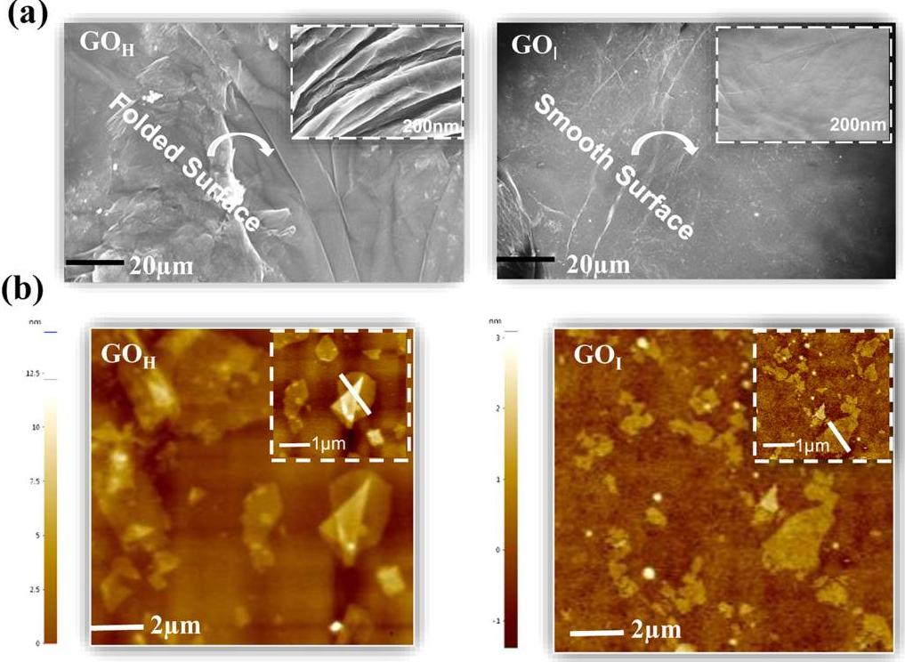 Inhibition of biofilm formed by bacteria by means of graphene oxide ...