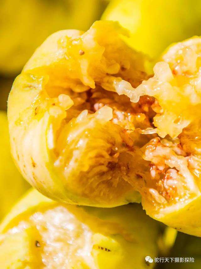 Xinjiang fruit fig - iNEWS