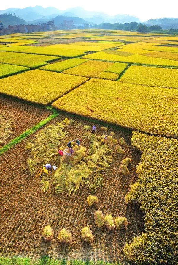 Thinking of my father in autumn - iMedia