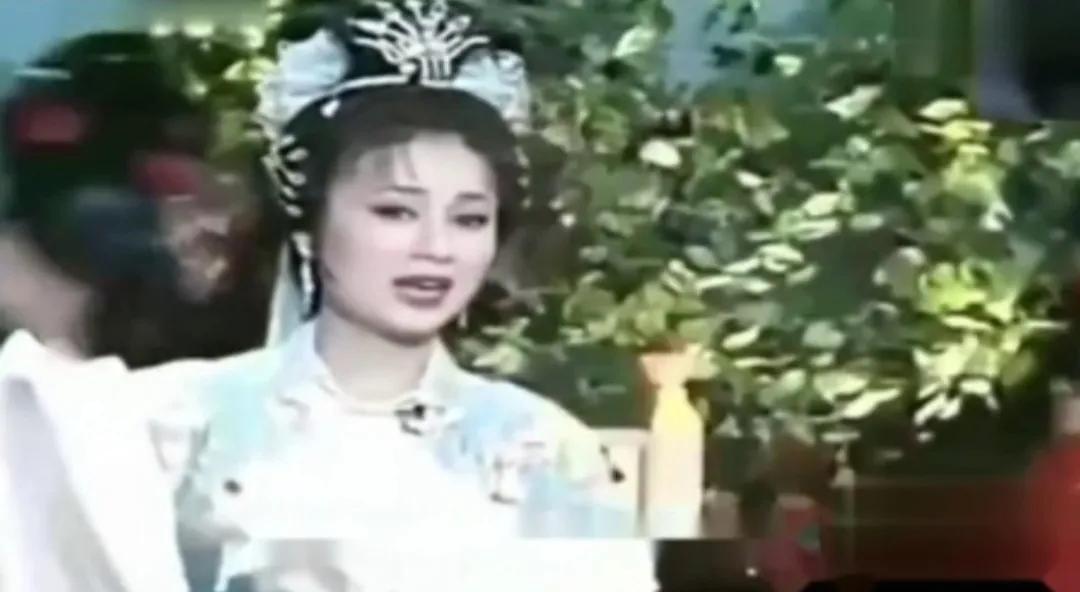 Huangmei Opera Movie [Female Prince Consort] - iMedia