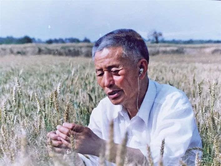 The movie "Love in the Drought Plateau" is on! Li Like's story of ...