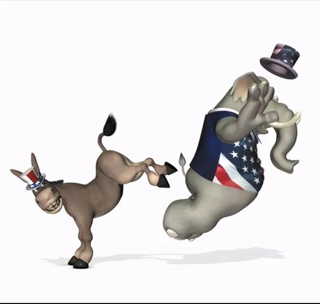 "Funny Donkey and Elephant Battle" - iNEWS