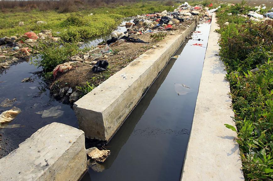 The source of cadmium pollution and the element characteristics of ...