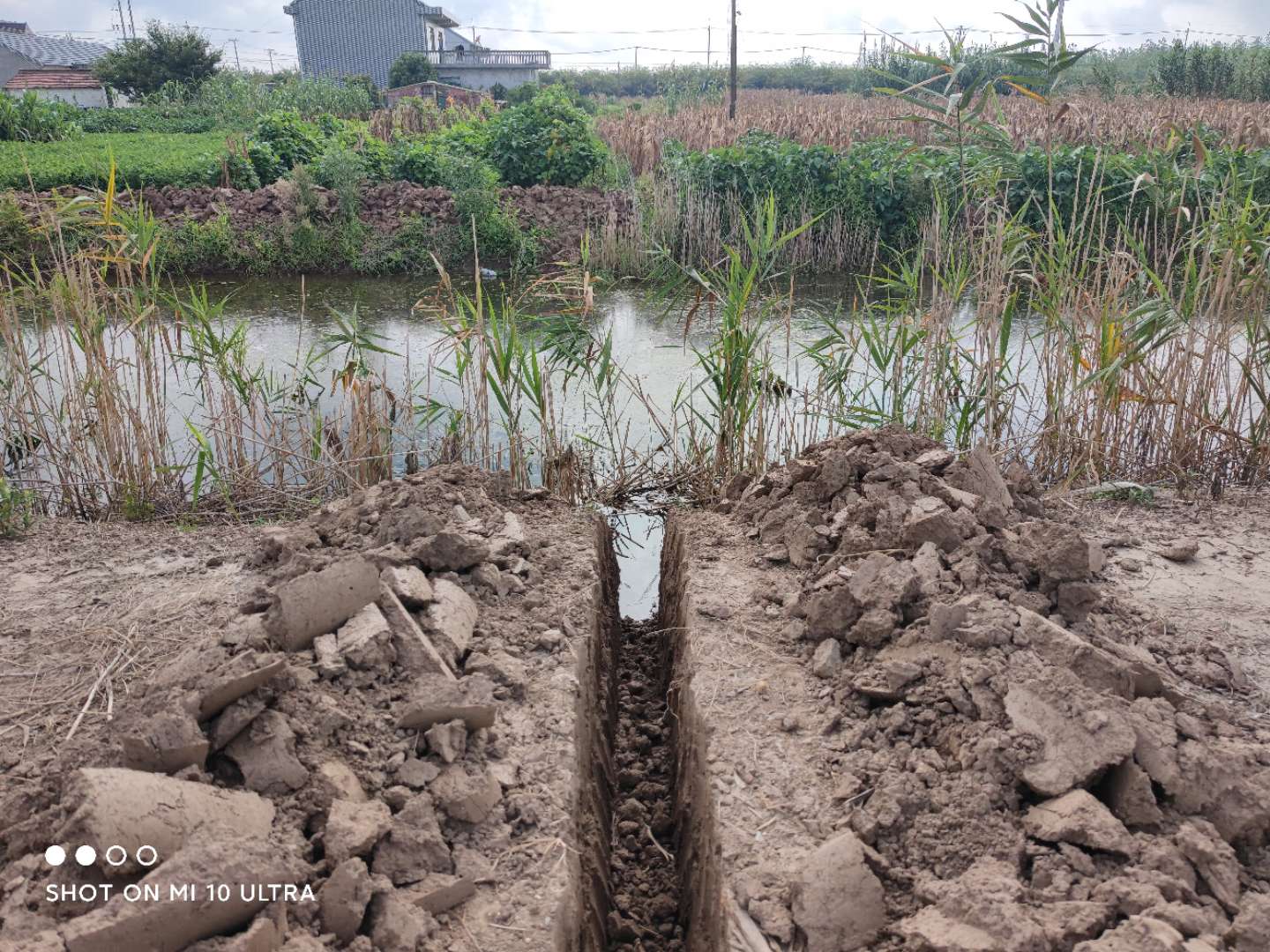 New rural domestic sewage collection and treatment equipment - iNEWS