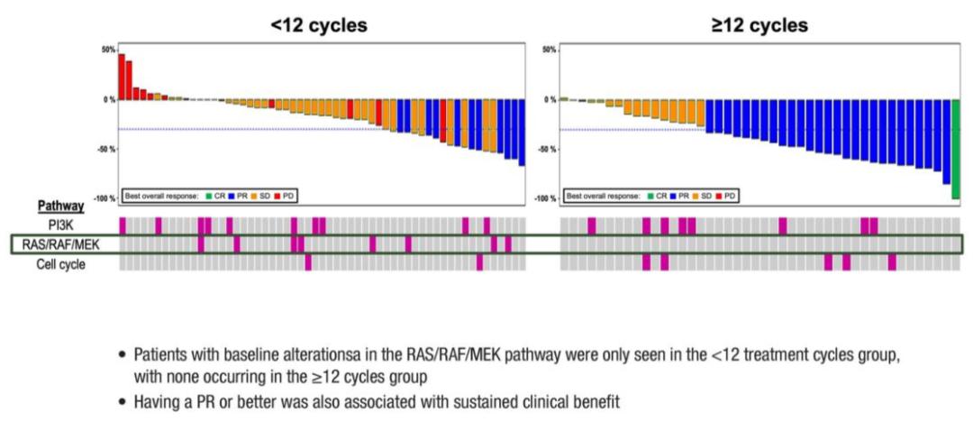 The efficacy of amivantamab in EGFR ex20ins-treated NSCLC can be ...