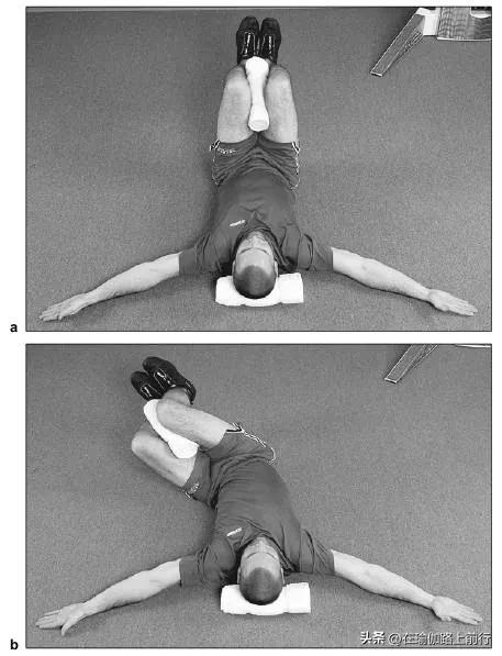 Balance Training - Seated Rotation - iNEWS