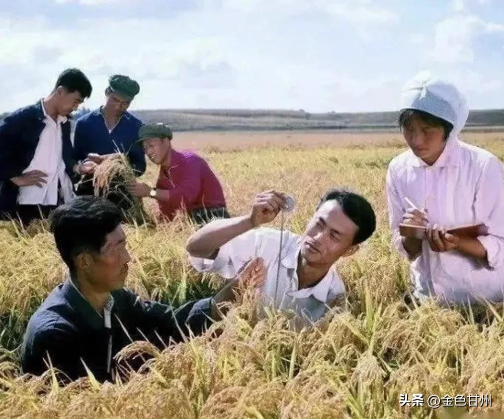 Traditional Culture and Personal Upbringing - iNEWS