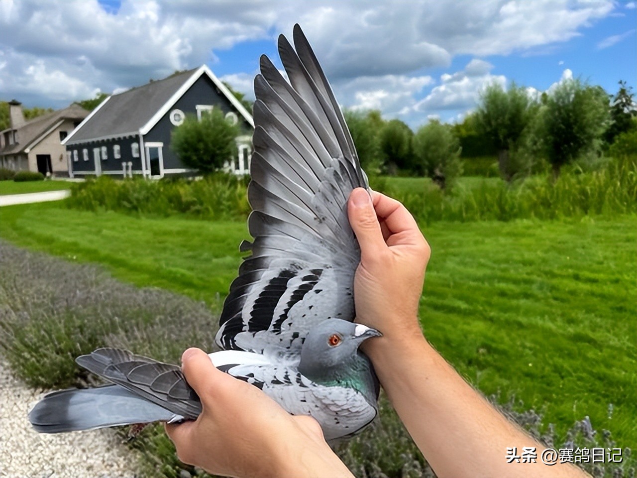 "Atlas" Walker's father and son's strong combination of "heartwarming ...
