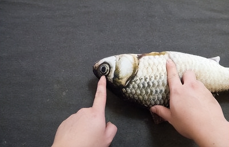 Open sea season, eat seafood strategy, hurry up to get - iNEWS