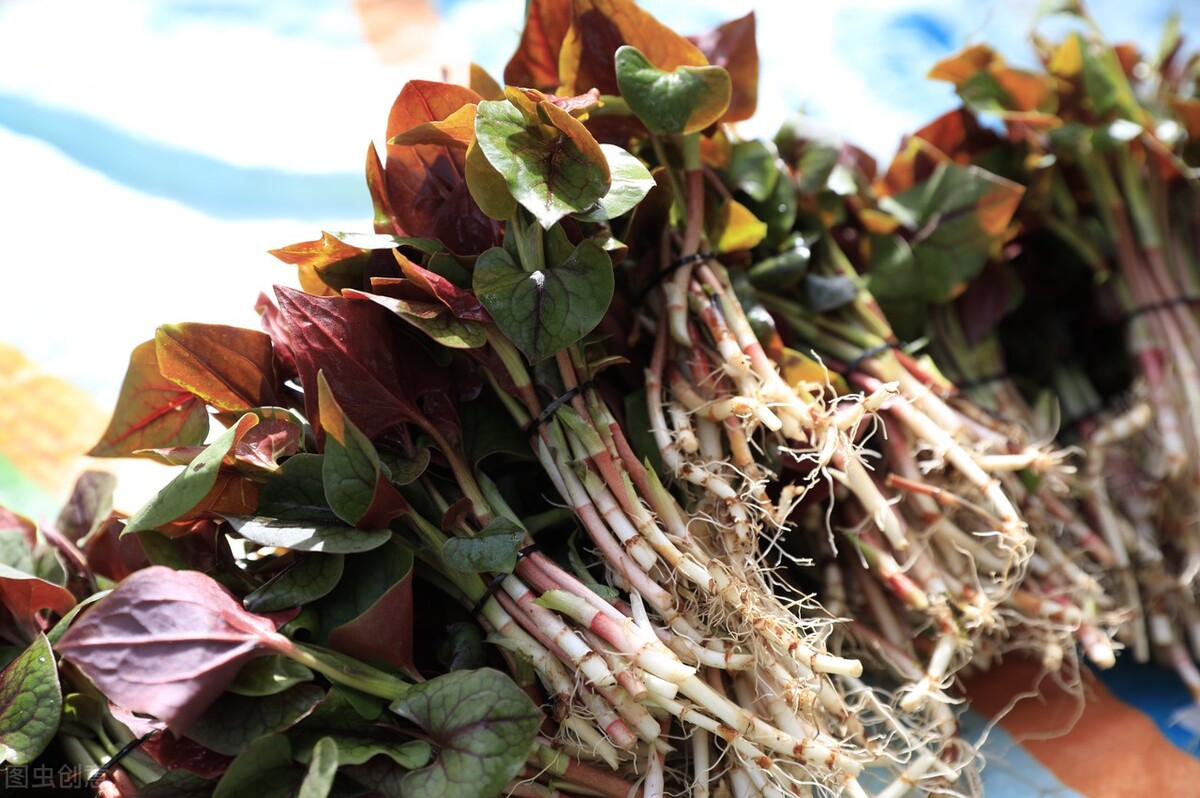 Zheergen, which is despised by most of China, is the favorite of some ...