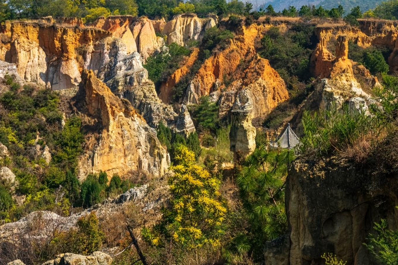 Stone forest, soil forest, there is also a sand forest here ~ Luliang's ...