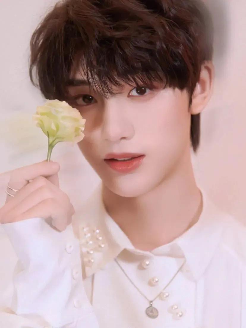 How do you view the impact of the Ding Chengxin incident on shaping the ...