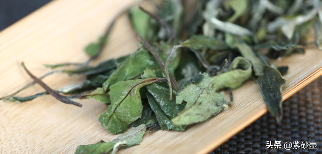 Teacup: Twenty types, how many have you used? - iMedia