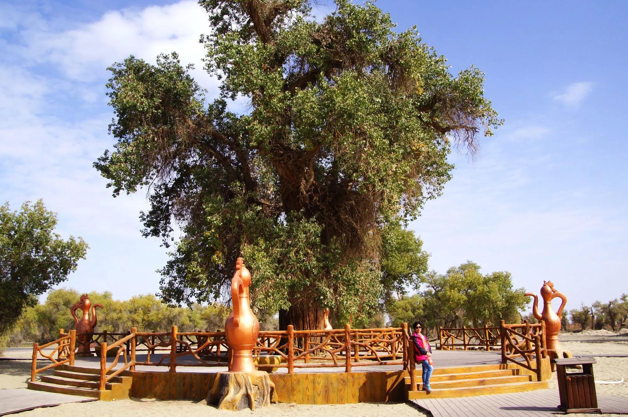 The Ancient Capital of Kucha--Kuqa Customs - iMedia